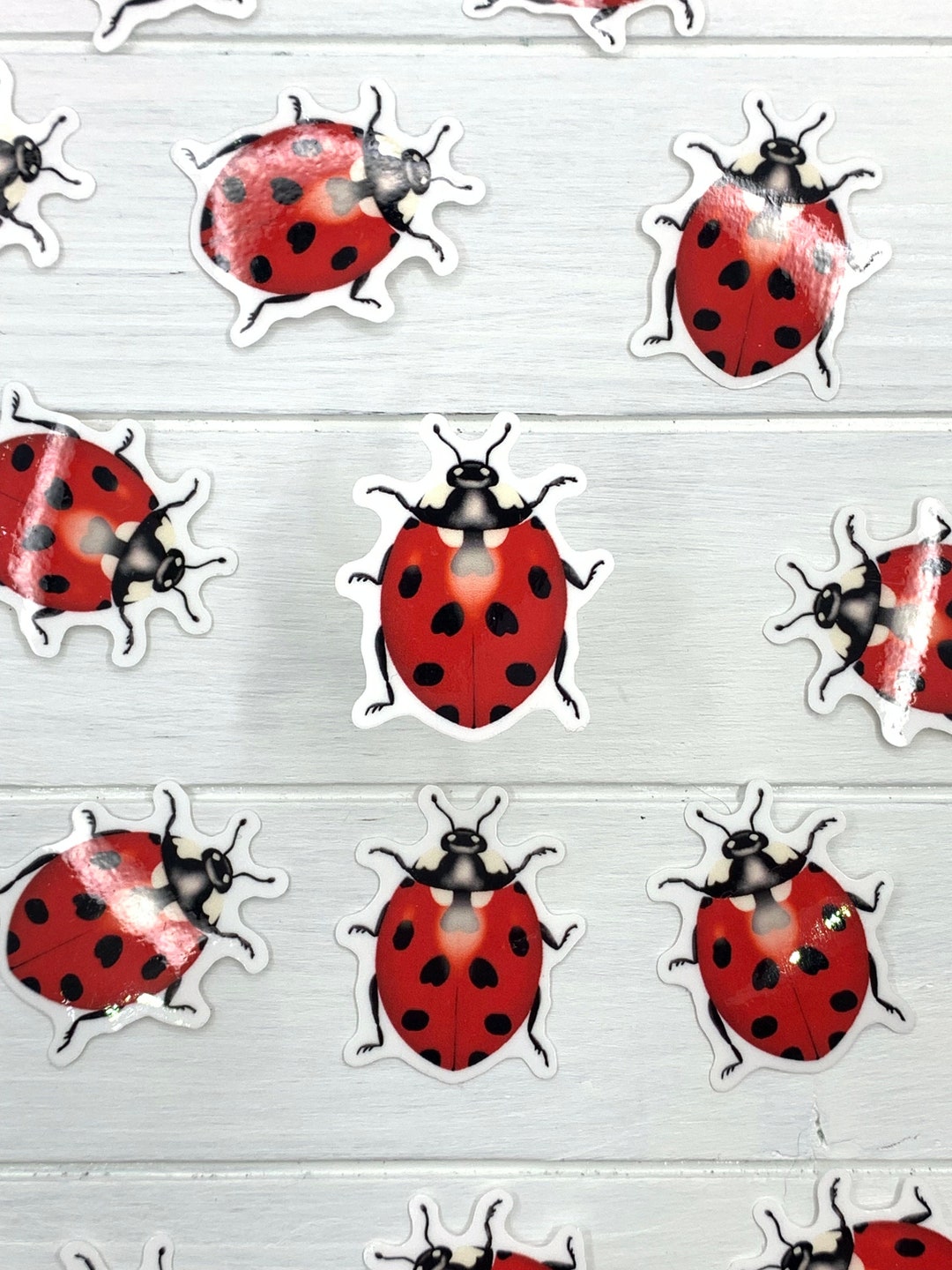 Ladybug Die Cut Sticker | 1.3"w X 1.5"h | Water-resistant Vinyl (glossy ...