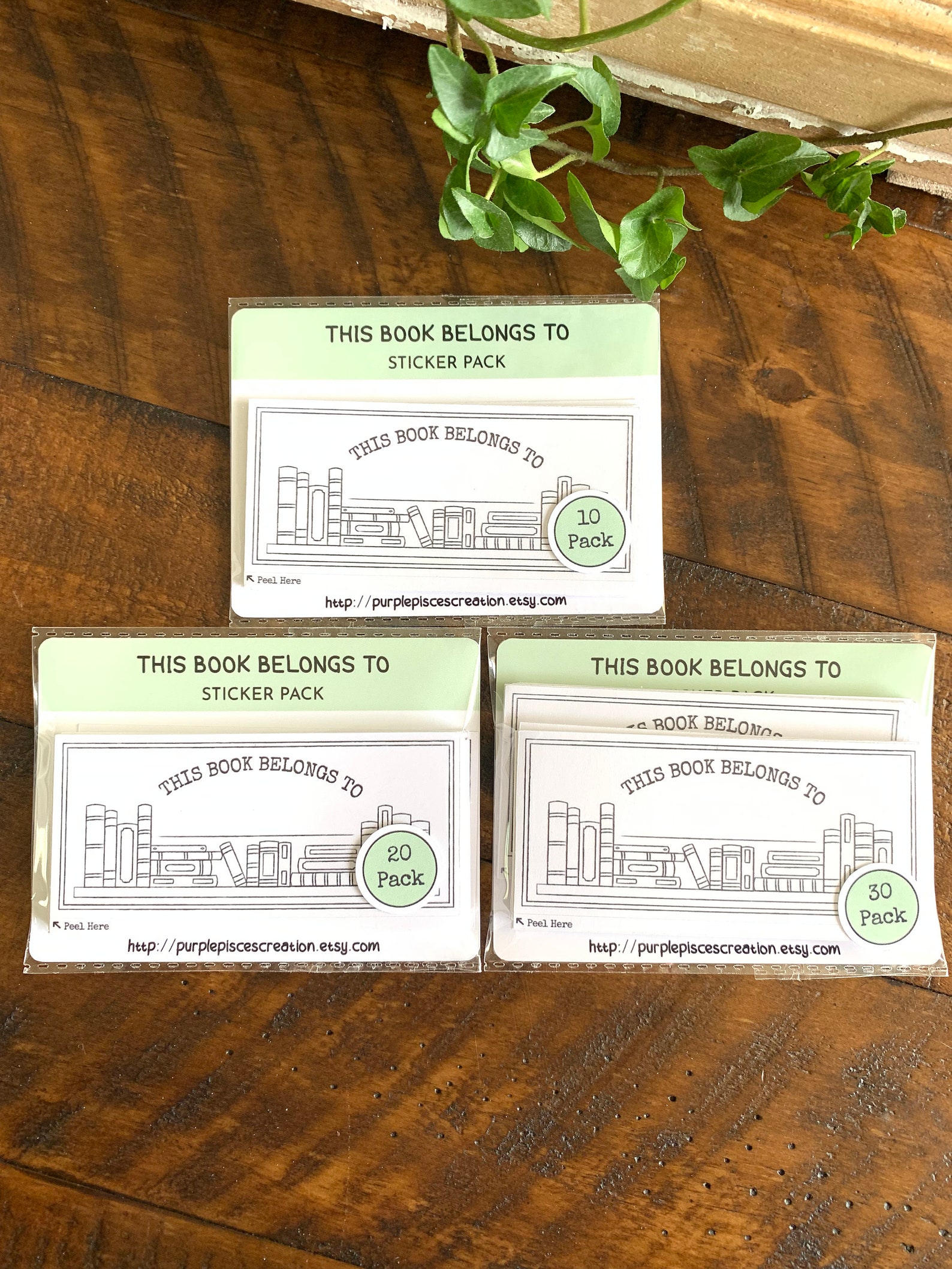 This Book Belongs to Sticker Pack Rectangular Stickers With - Etsy