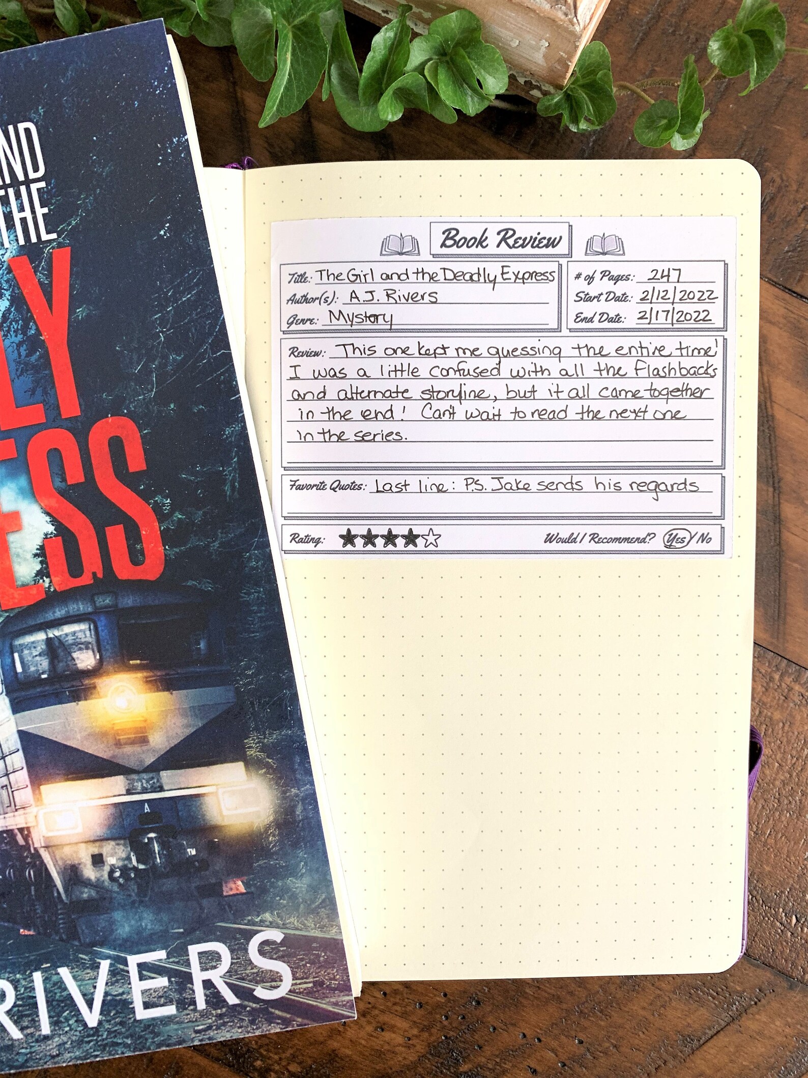 Book Review Sticker Pack | 8 - 4.6"w X 3.4"h Stickers | for Reading ...