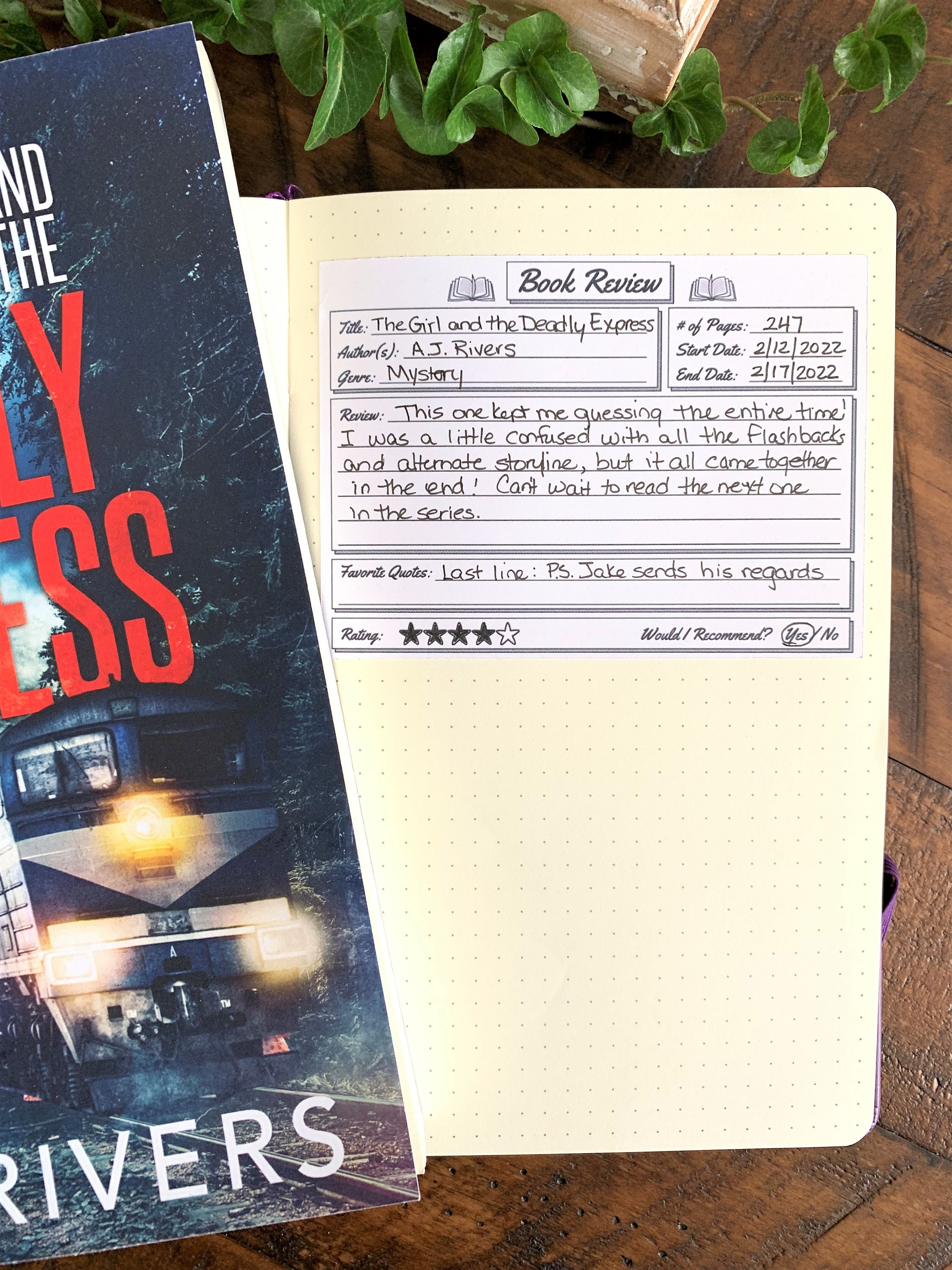 Book Review Sticker Pack | 8 - 4.6"w X 3.4"h Stickers | for Reading ...