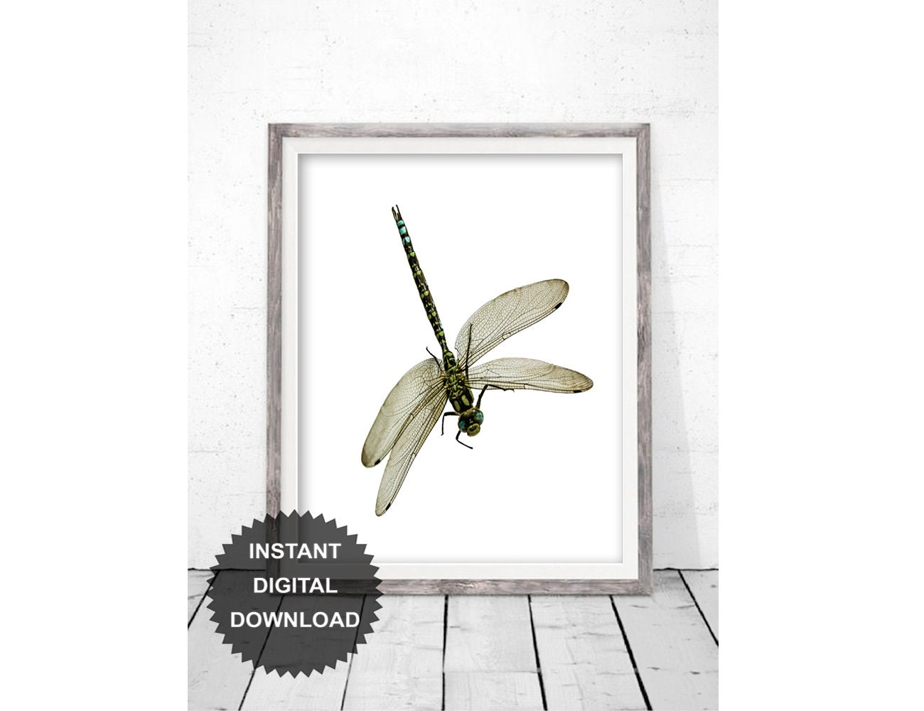 Dragonfly poster Digital download 8x10 Dragonfly wings posters | Etsy