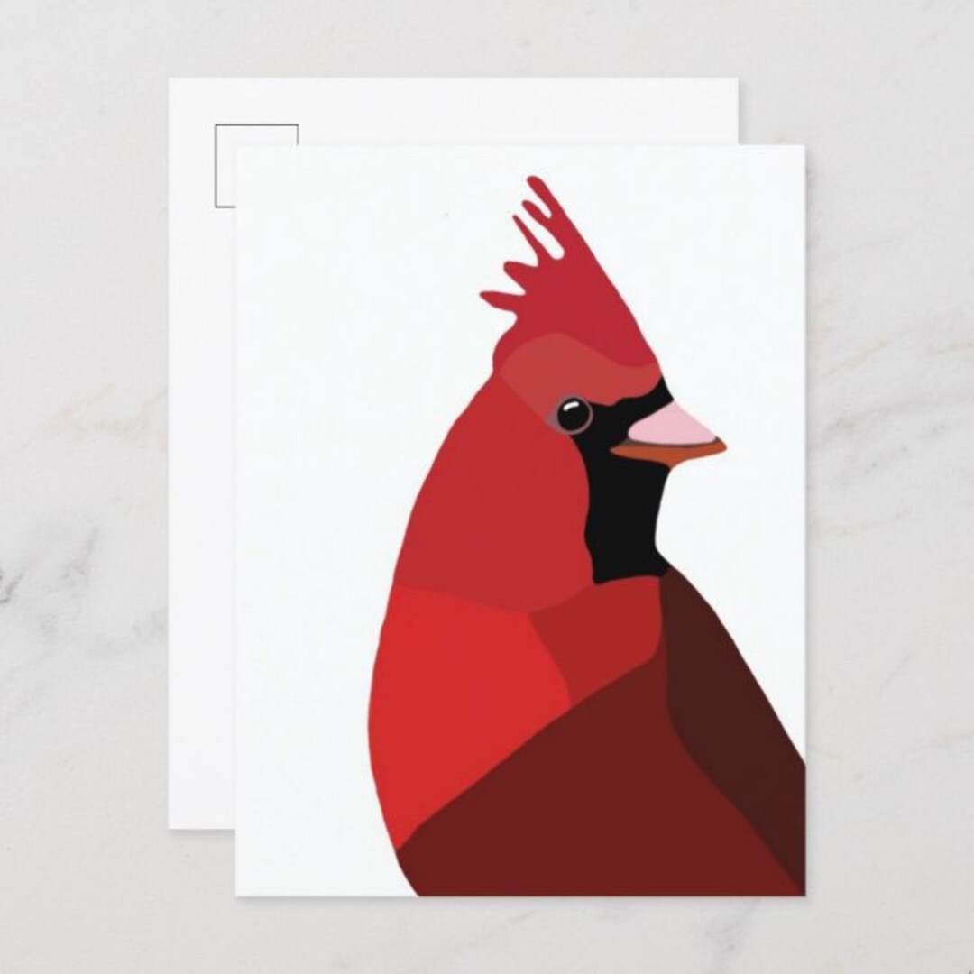 Cardinal Postcard | FREE SHIPPING - Etsy