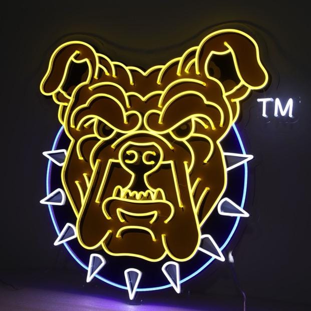 Custom Collegiate LED Signs - Etsy