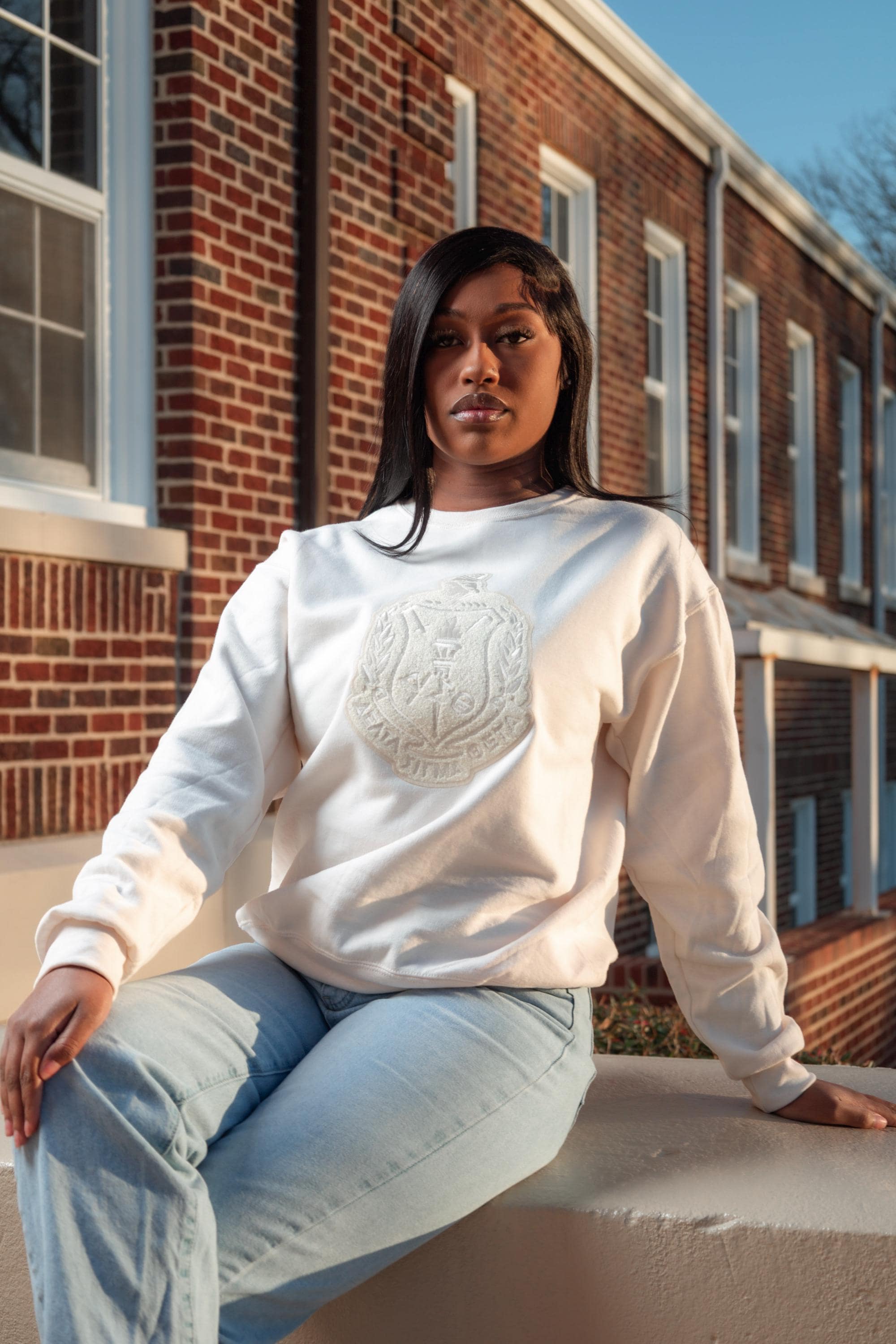 Cream Delta Sigma Theta Sweatshirt – Sorority Shield Crewneck – DST ...