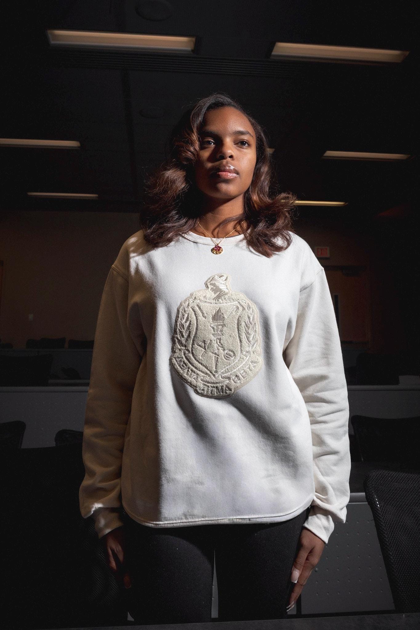 Cream Delta Sigma Theta Sweatshirt – Sorority Shield Crewneck – DST ...