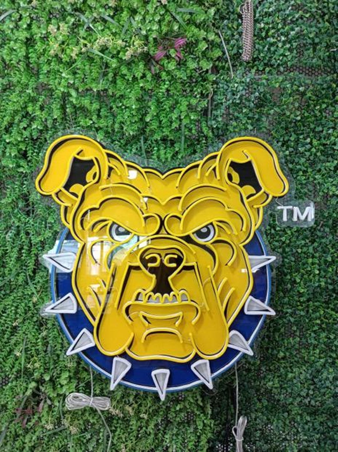 Custom Collegiate LED Signs - Etsy