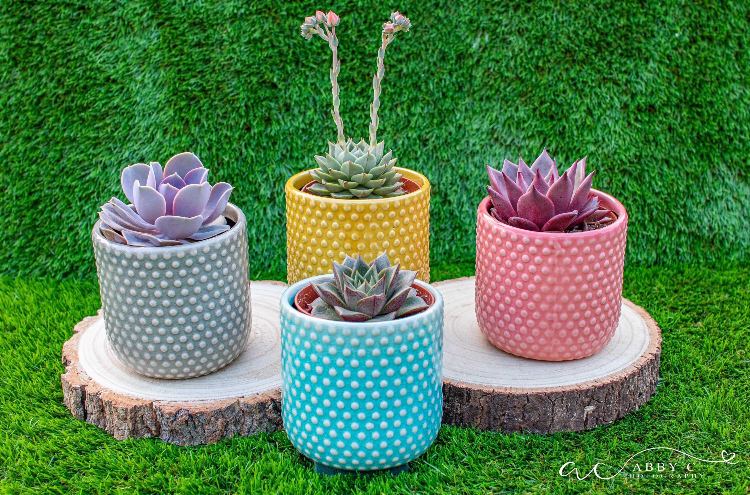 Bobble Plant Pot / Planter / Pink Red Yellow Grey and Blue | Etsy