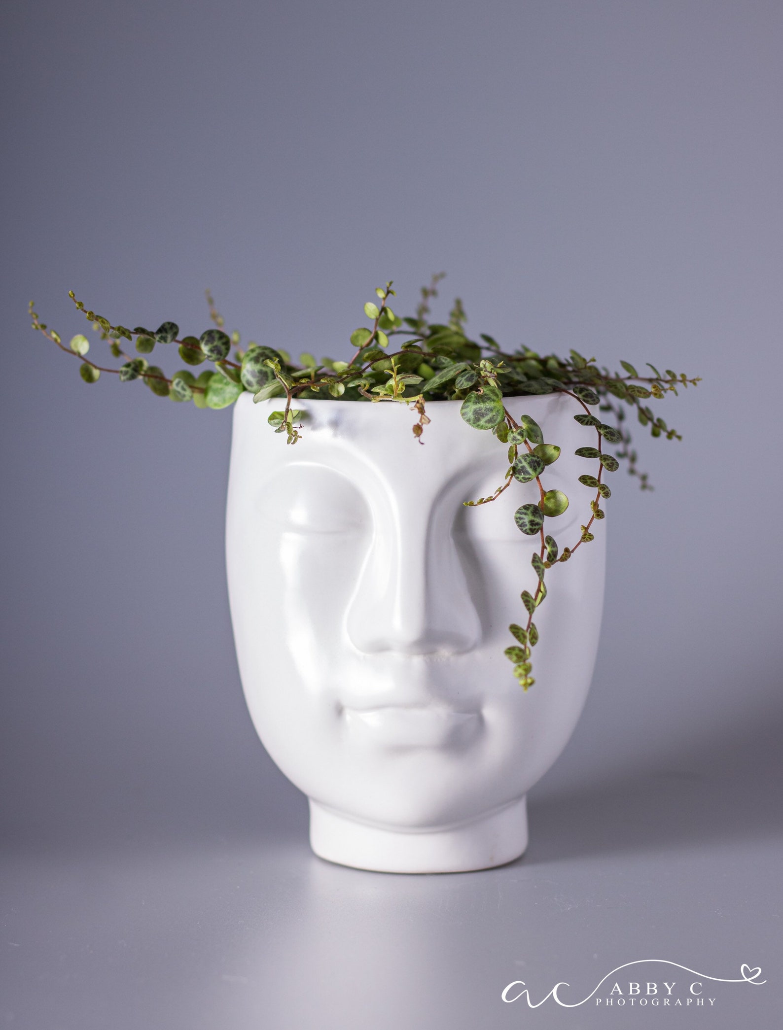 Face Plant Pot / Face Planter / Stone / Bronze / Silver / | Etsy UK