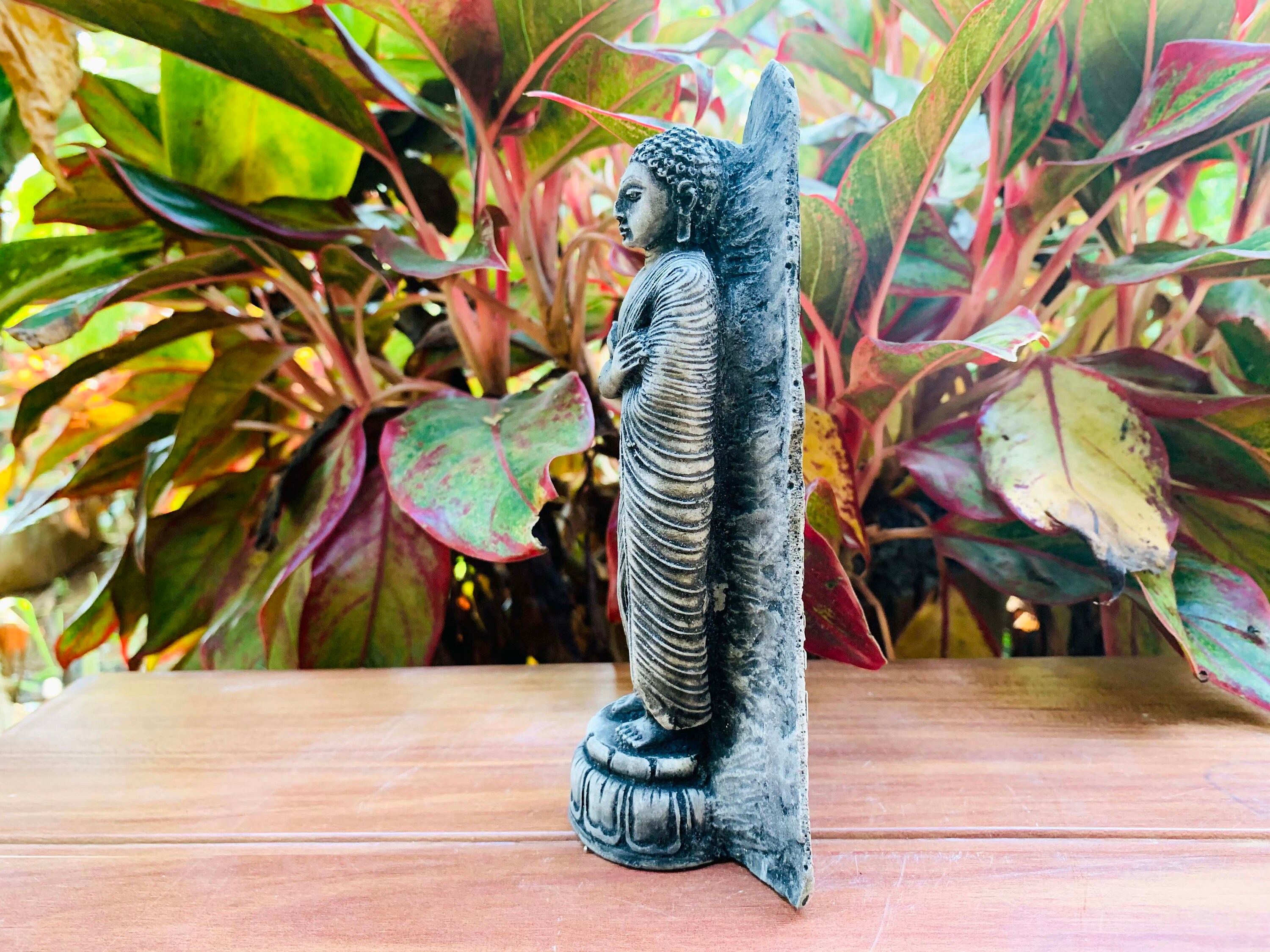 Standing Rock Statue Hiti Pilimaya of Gal Vihara in Polonnaruwa Sri ...