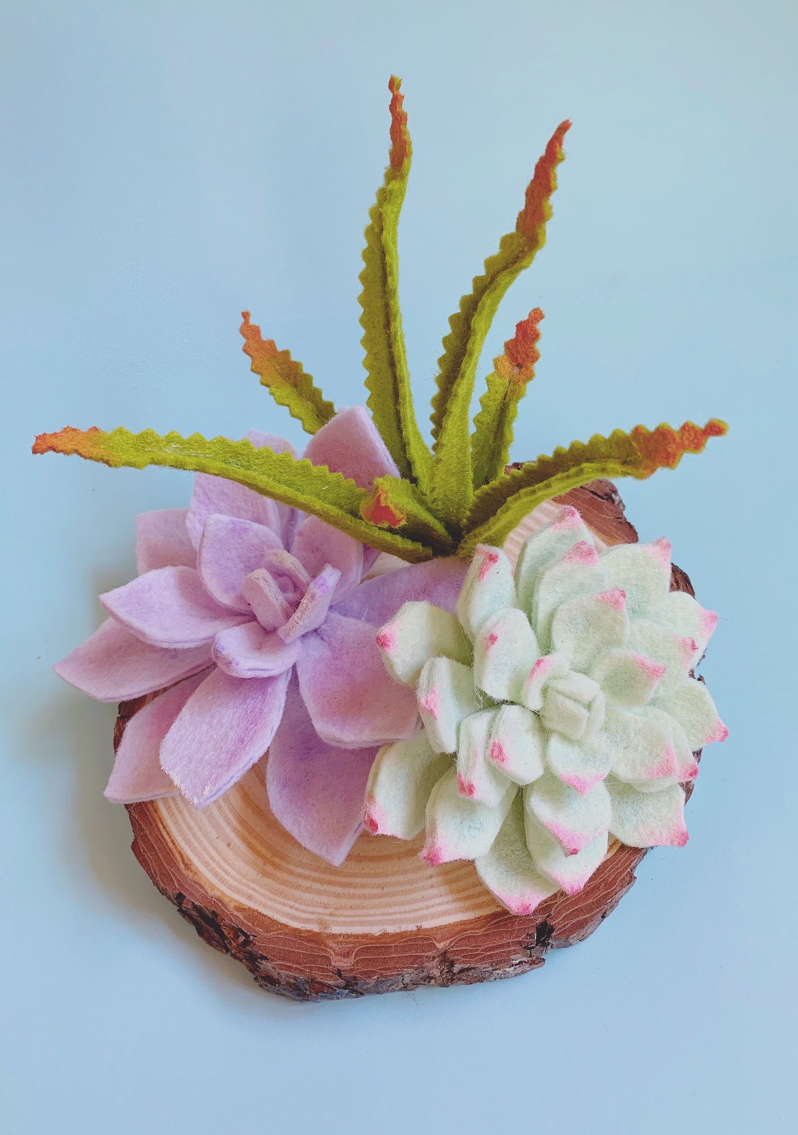 Felt Succulent Kit - Etsy