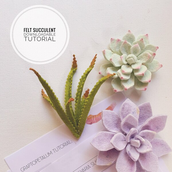 Felt Succulents - Etsy