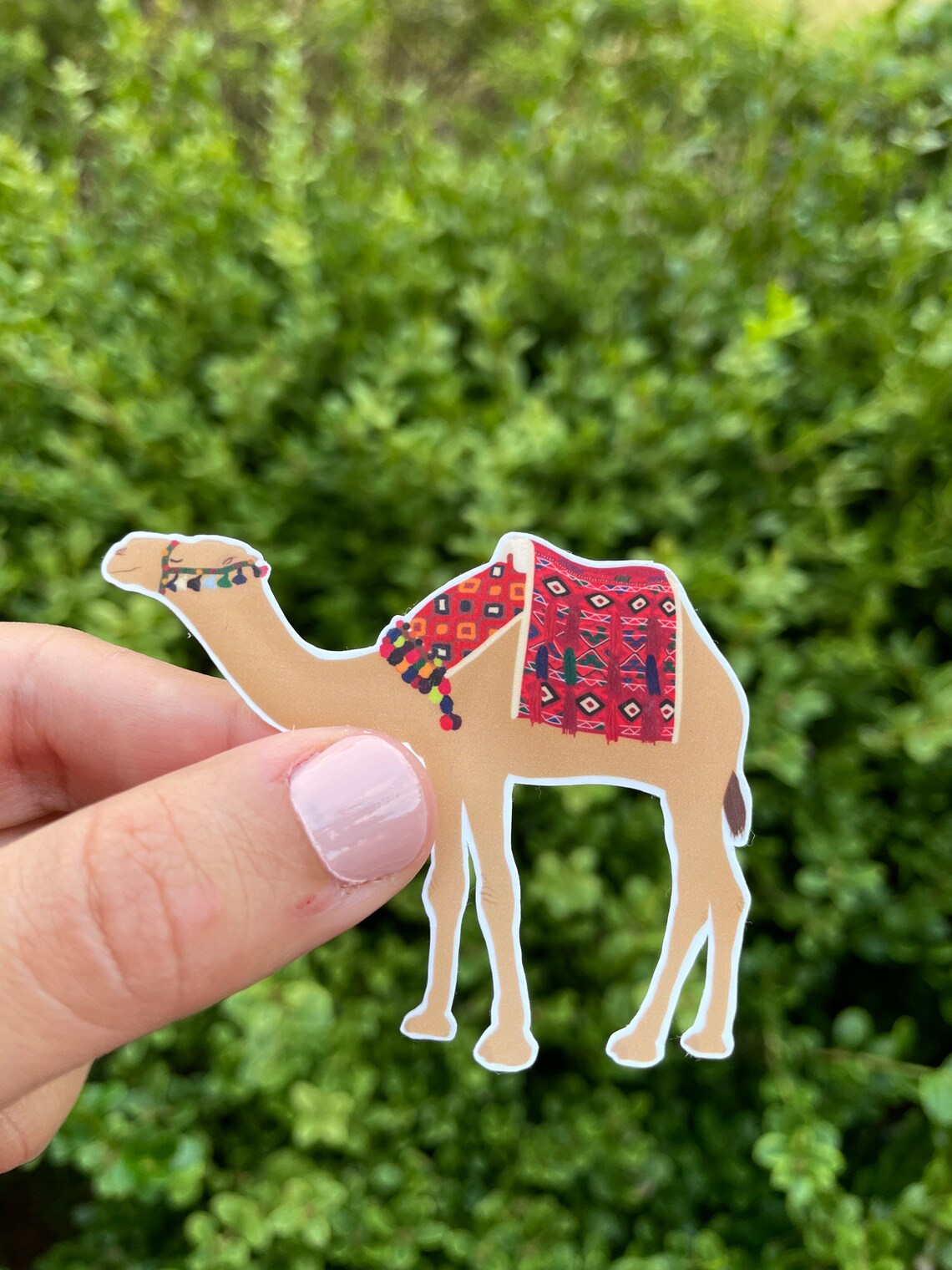 Camel Sticker - Etsy