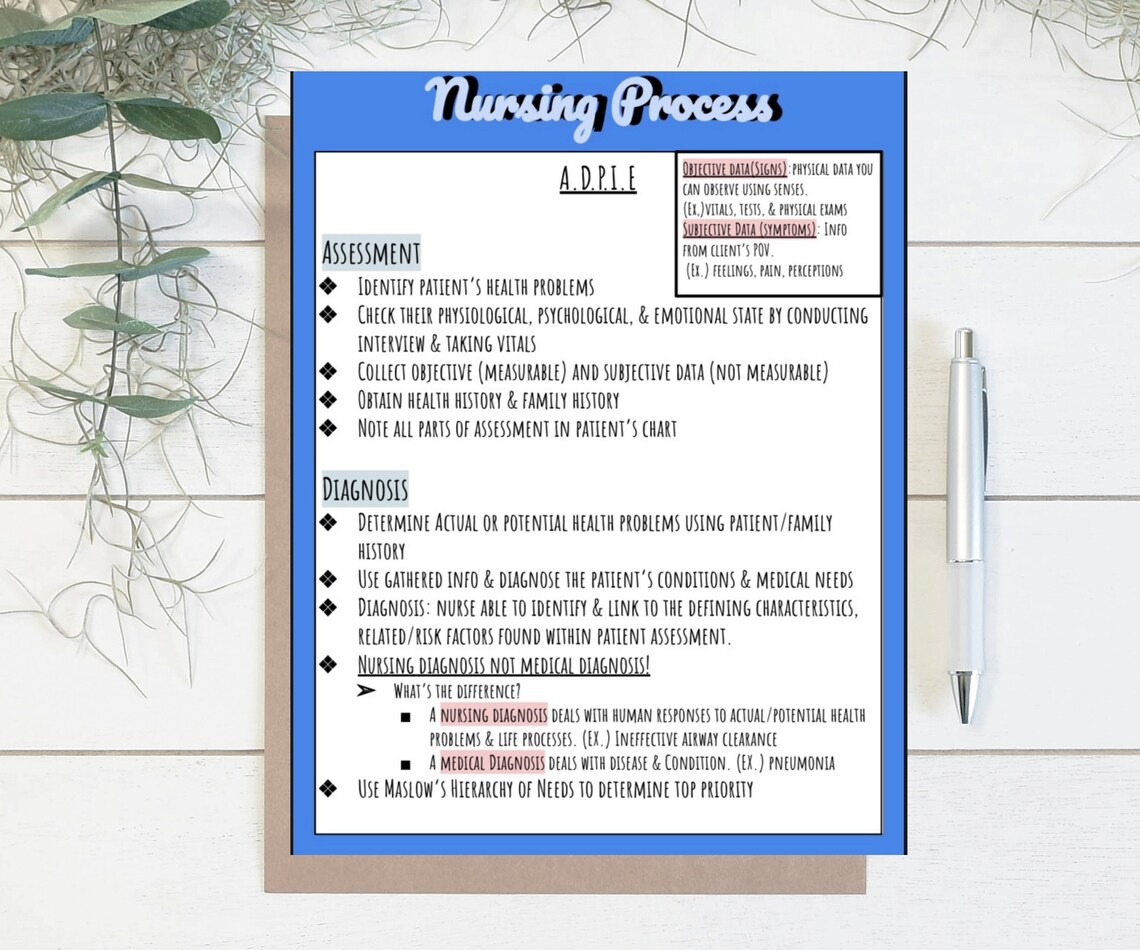 Nursing Process Study Guide & Care Plan Template (printable) - Etsy
