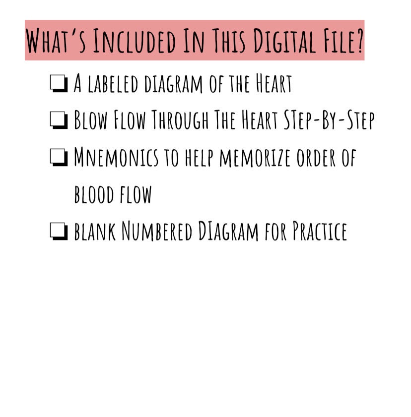 Anatomy & Physiology Blood Flow of the Heart Numbered Diagram With ...