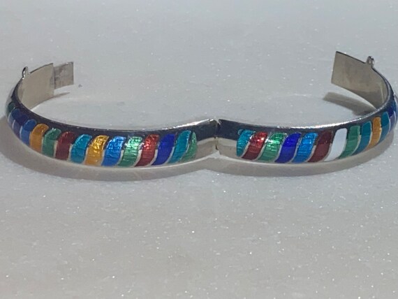 Multi Color Enamel Siam 20 GR - Gem