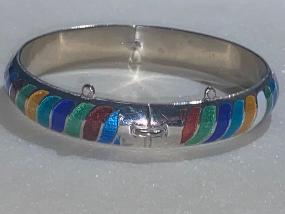 Multi Color Enamel Siam 20 GR - Gem