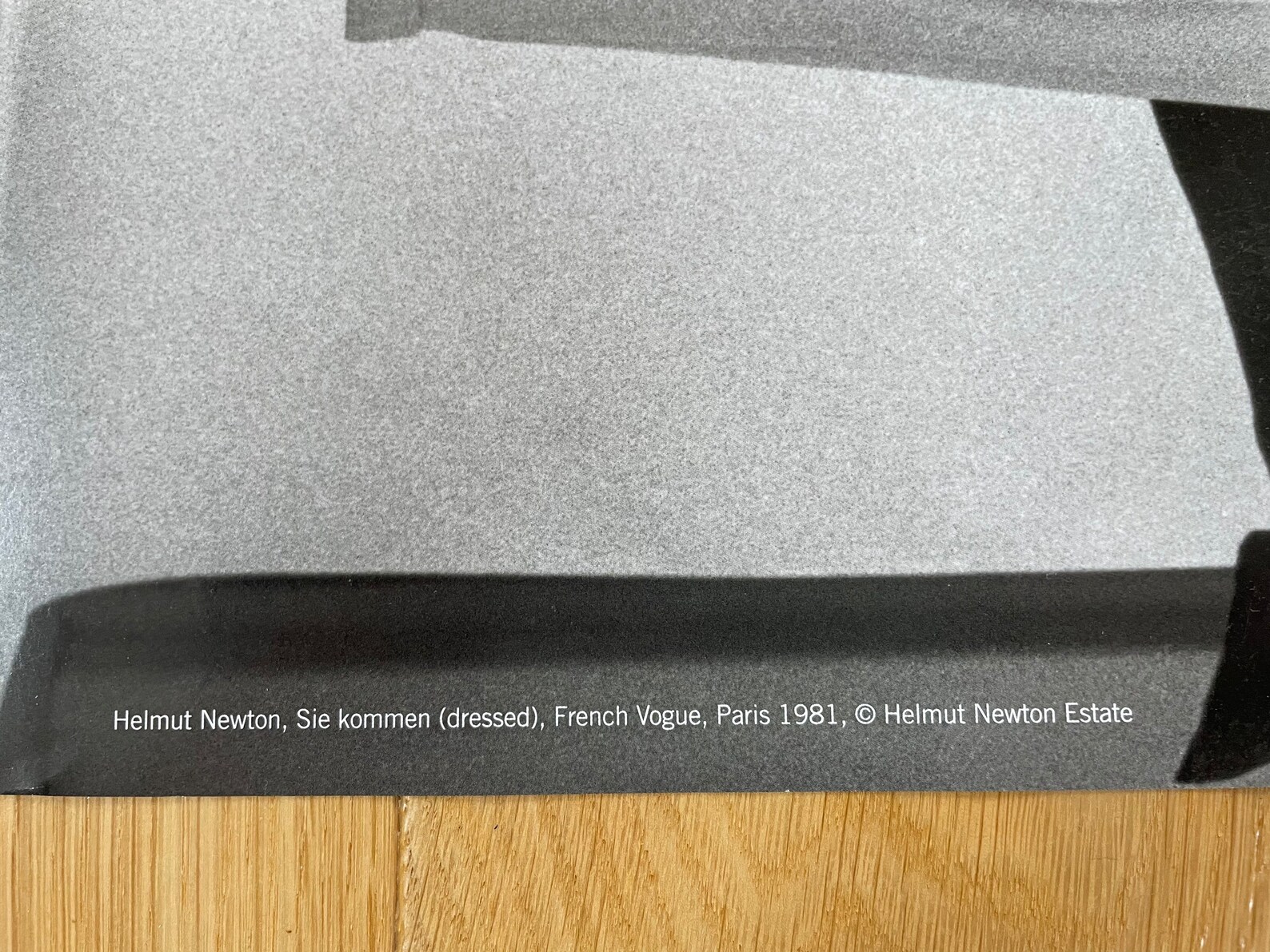 HELMUT NEWTON Original Exhibition Poster sumo of - Etsy UK