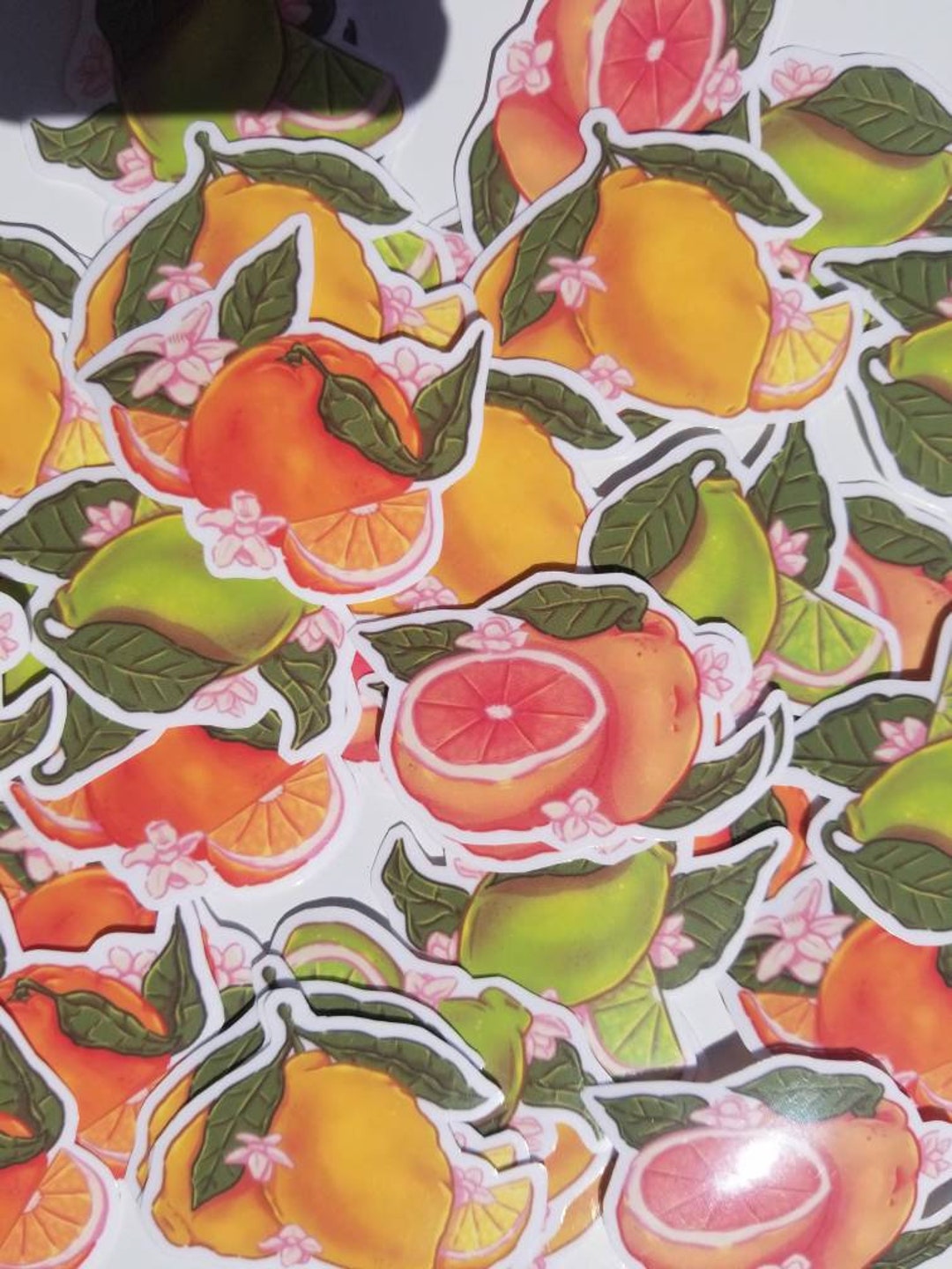Zesty Citrus! Fruit Sticker Singles and Sticker Pack. - Etsy