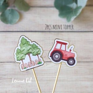 3D (handmade) Farm Animal Cake Topper and 2pcs Mini Topper / Petting ...