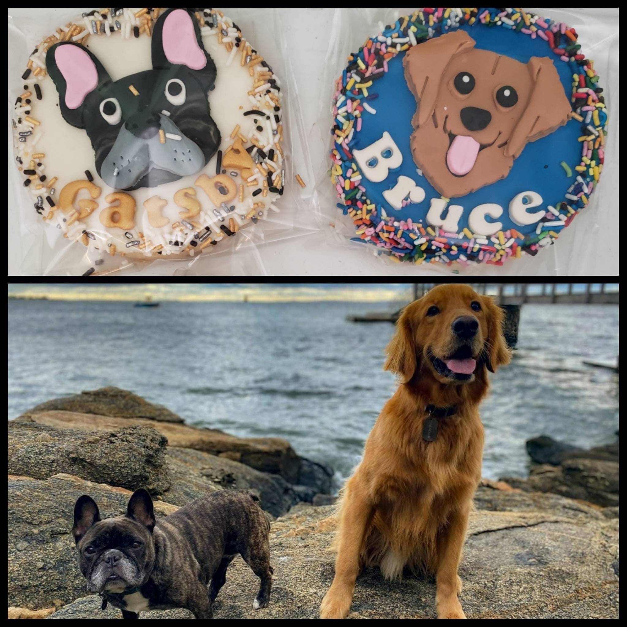 Custom Dog Faces Sugar Cookie FOR HUMAN CONSUMPTION - Etsy