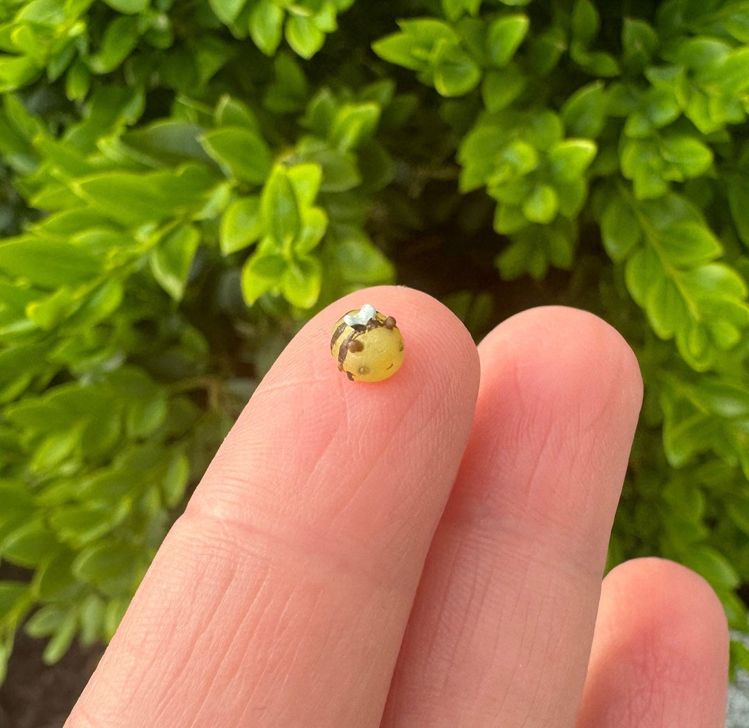 Polymer Clay Micro Bumble Bee- Miniature Desk Pet Buddy - Etsy