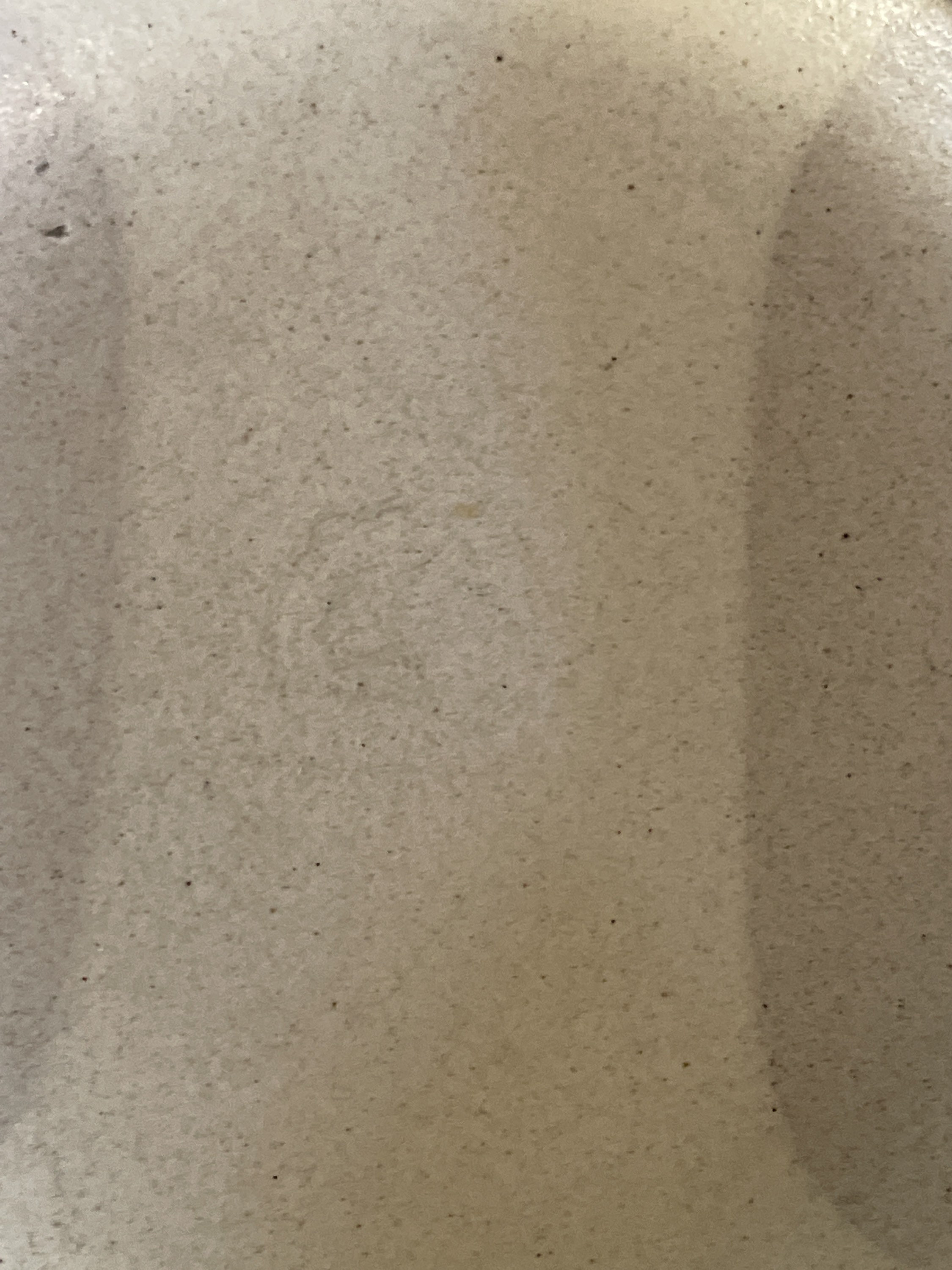 Mid-century Heath Ceramics Rim Line birch Mini Plates 5 - Etsy