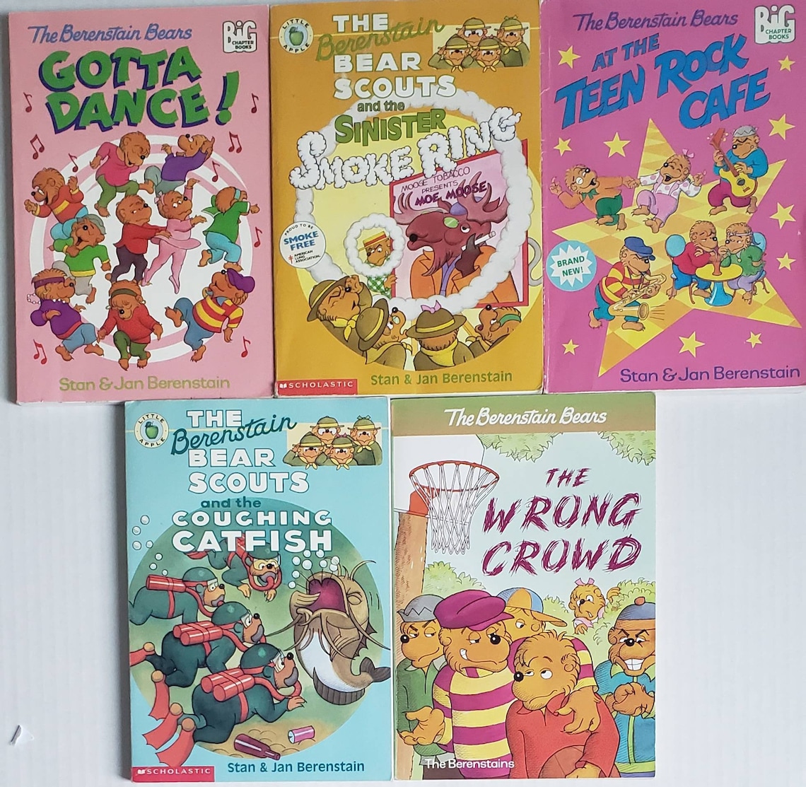 The Berenstain Bears Chapter Books / Your Choice / 1980s90s / - Etsy