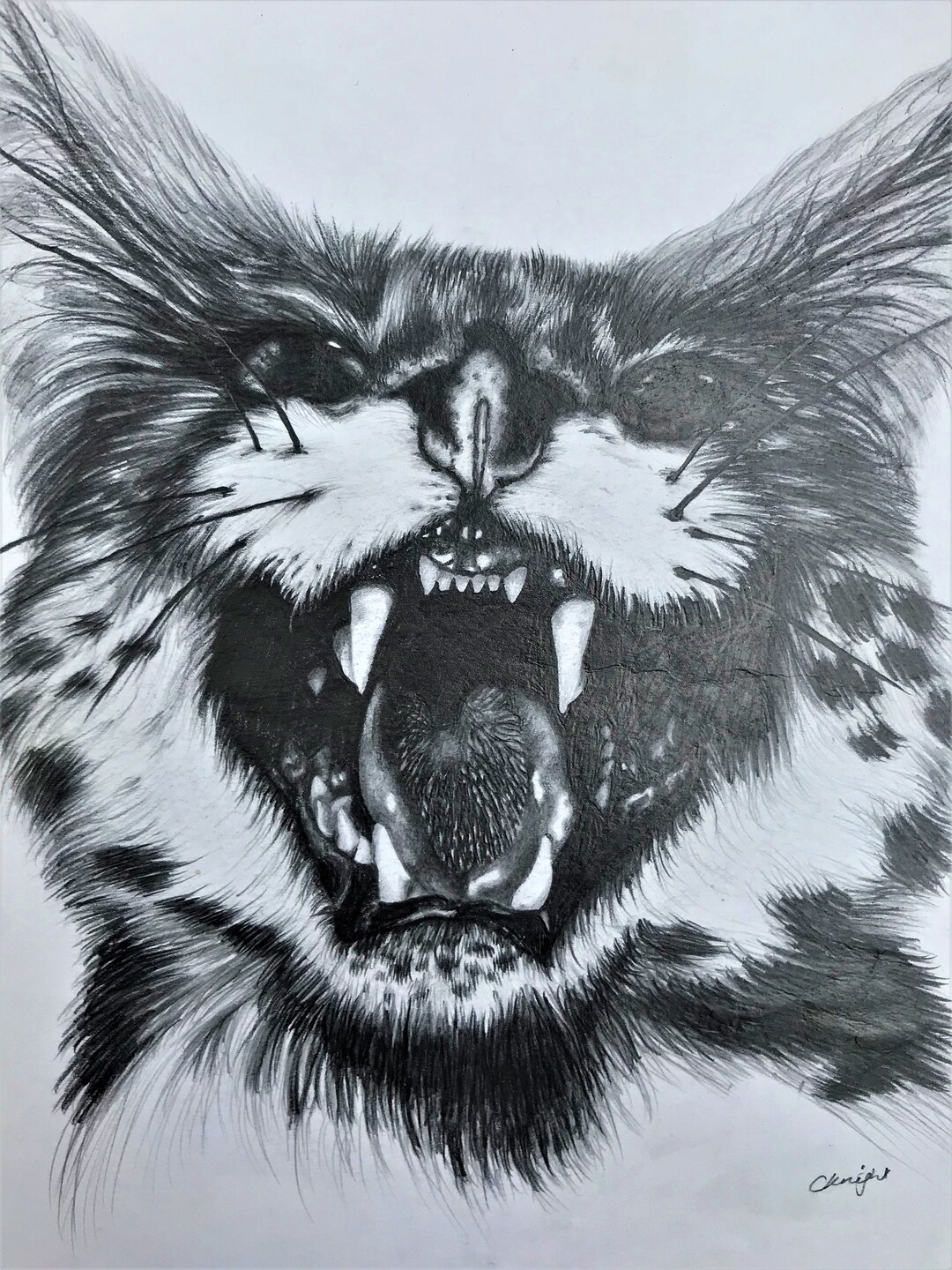Roaring Wild Cat serval A4 297 X 210 Mm Original Graphite Pencil ...