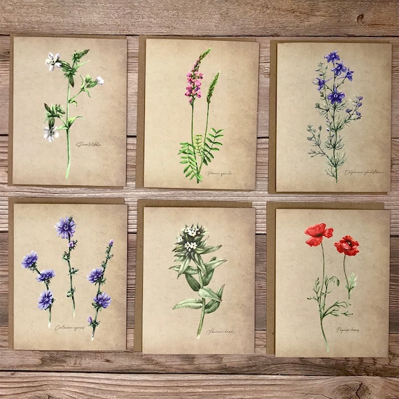 Watercolor Vintage Botanical Floral Wildflower Notecards 12 - Etsy
