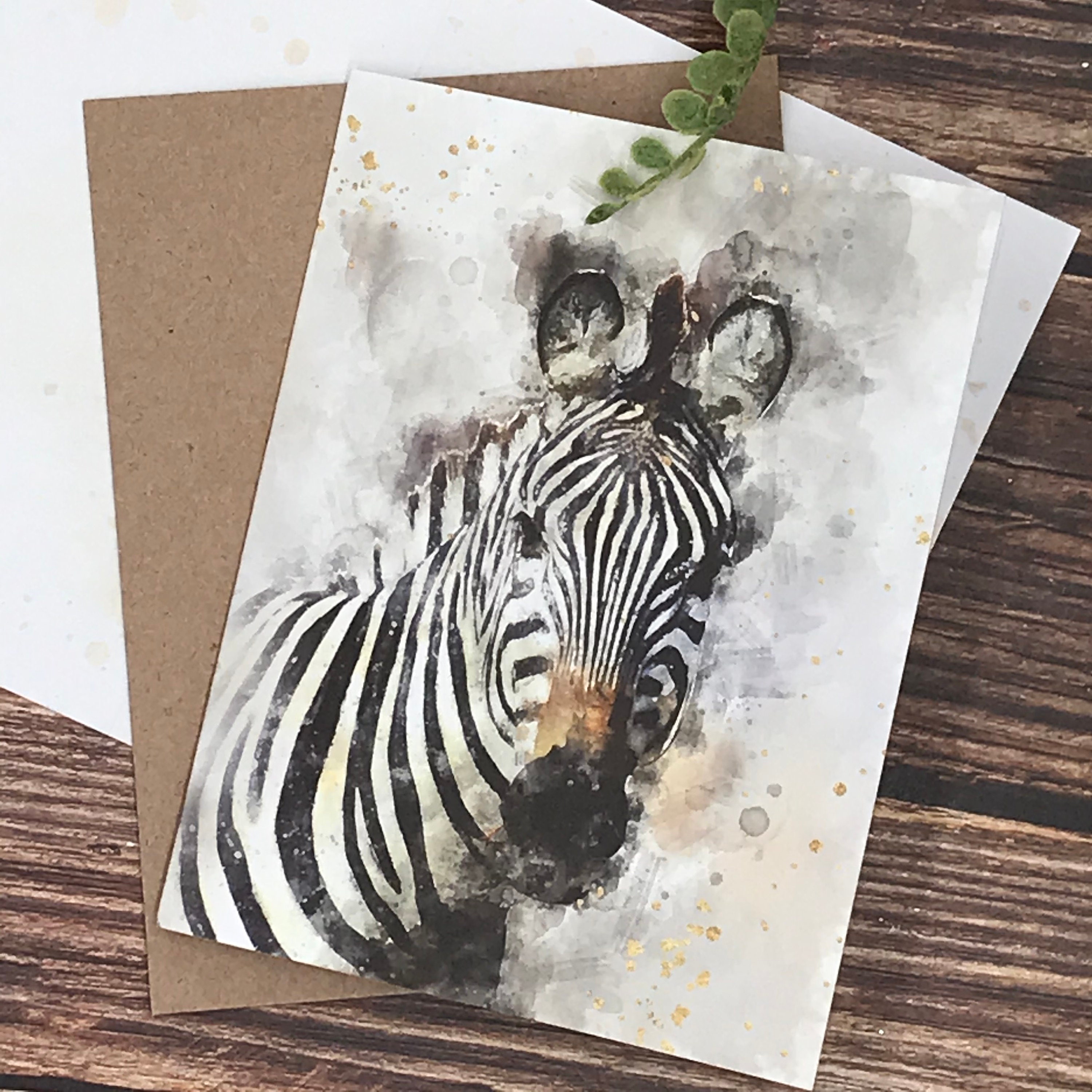 12 Note Card Gift Set - Watercolor Zebra Safari Notecards - High-end ...