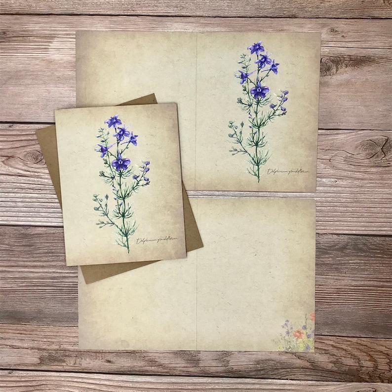 Watercolor Vintage Botanical Floral Wildflower Notecards 12 - Etsy