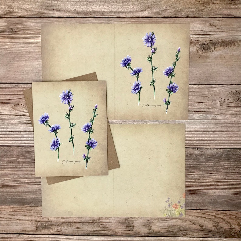 Watercolor Vintage Botanical Floral Wildflower Notecards 12 - Etsy