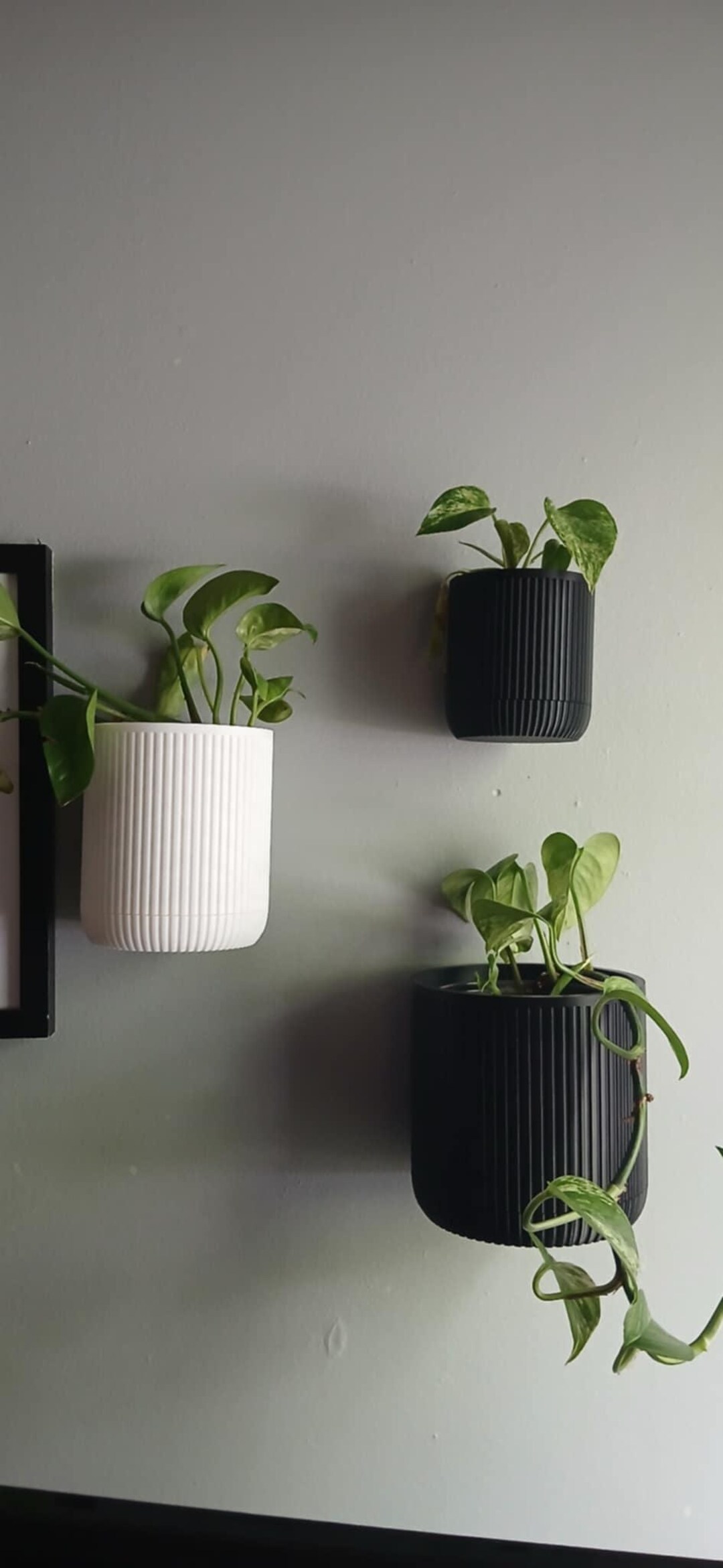 Mid-century Indoor Wall Mount Planter With Drip Tray 4.5