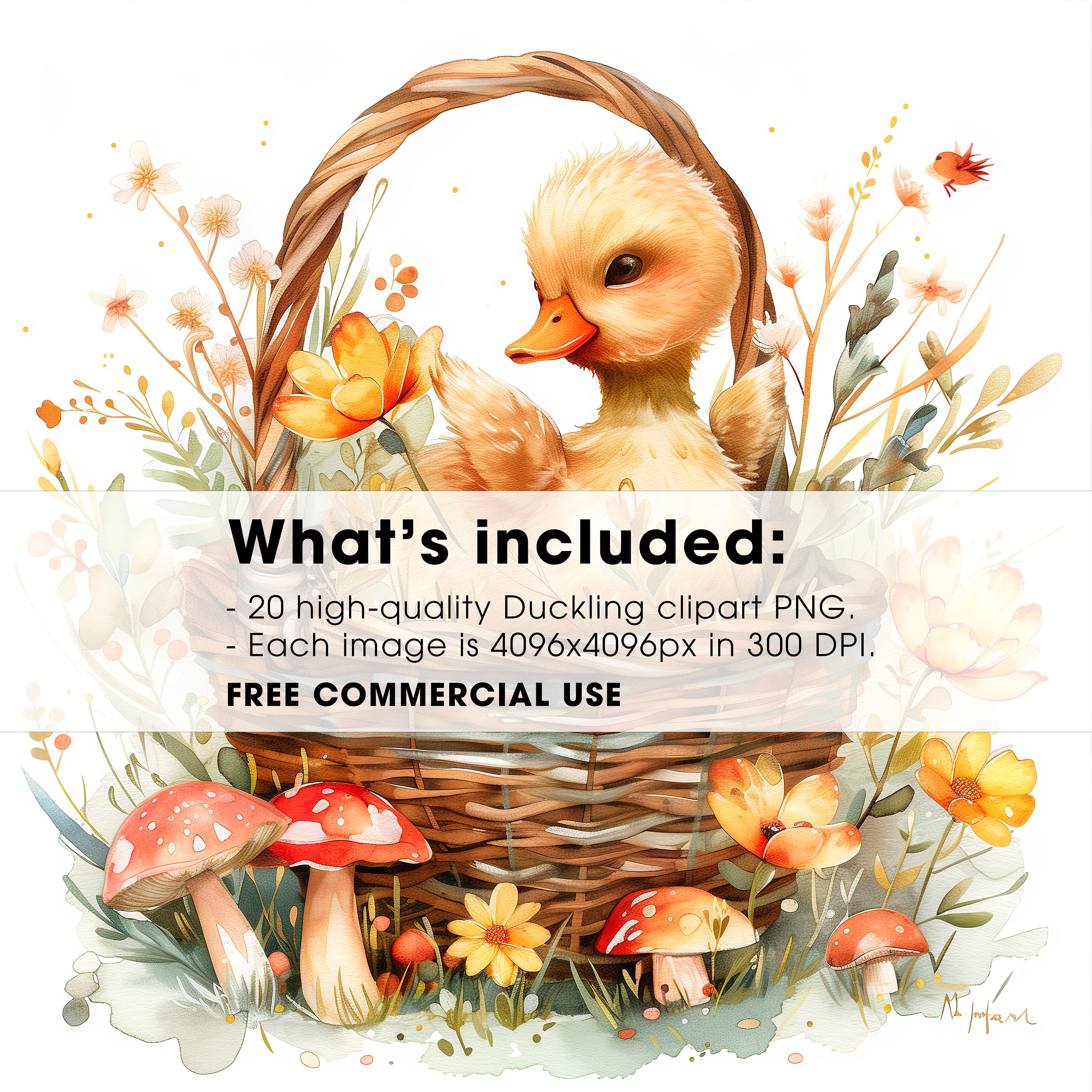Commercial Use, Bundle PNG Watercolor Duckling Clipart, Cute Duckling ...