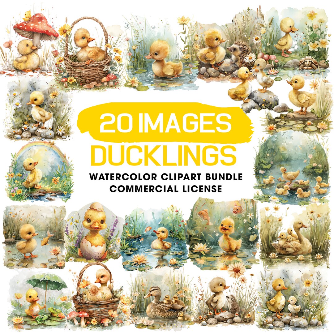 Commercial Use, Bundle PNG Watercolor Duckling Clipart, Cute Duckling ...