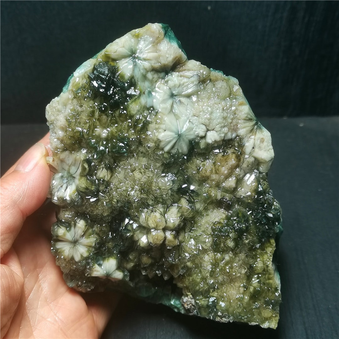 AAA Natural Orbicular Ocean Jasper Rough Reiki Healing Landscape Stone ...
