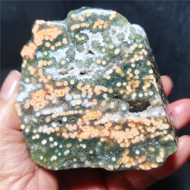 Rare Polished Orbicular Ocean Jasper Palm Stone: Chakra Reiki ...