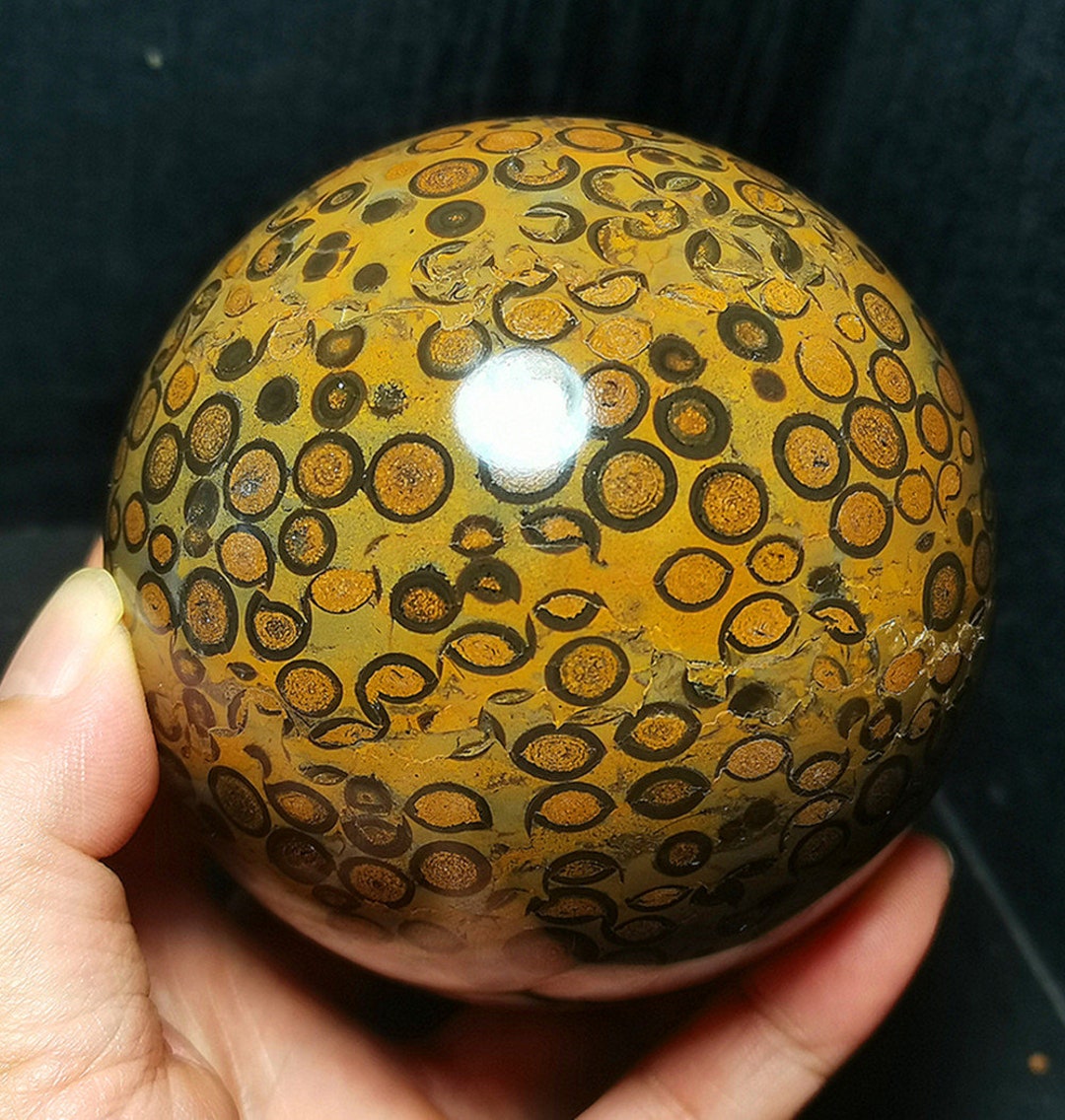 AAA Natural Polishing Leopard Agate Crystal Sphere Ball Healing /palm ...