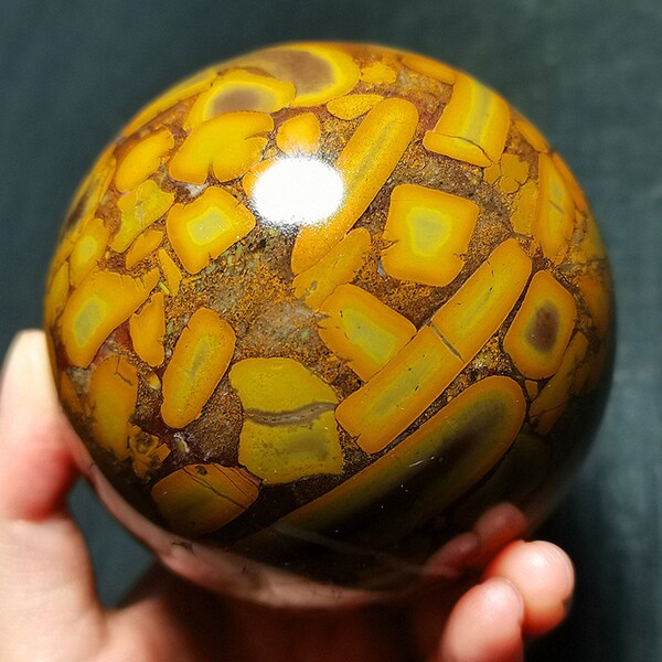 Bamboo Leaf Agate - Etsy