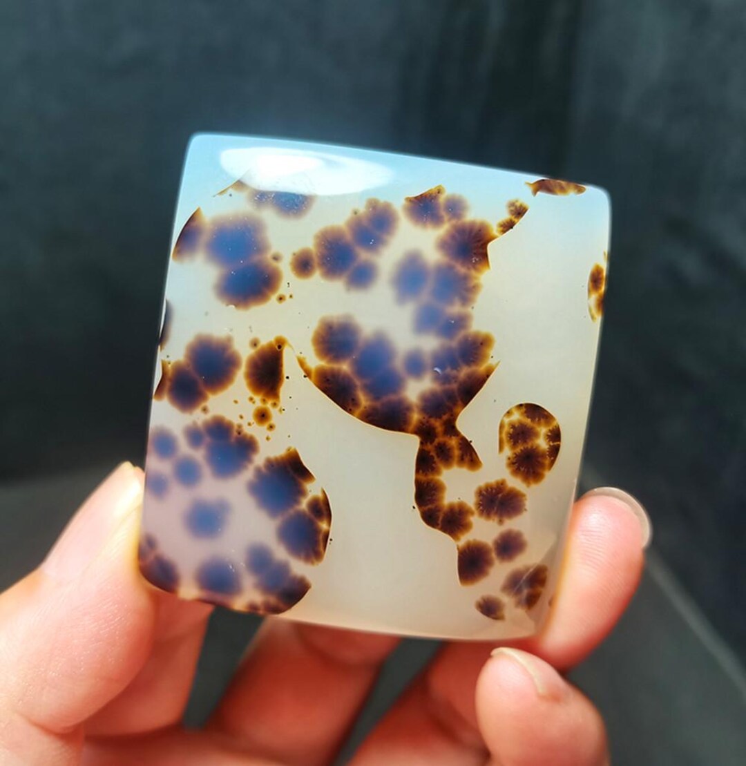 TOP Natural Polished Aquatic Plants Banded Lace Agate Crystal ...