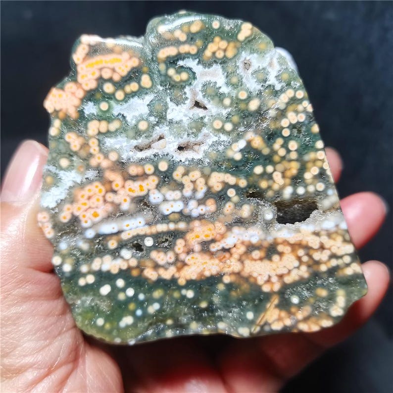 Rare Polished Orbicular Ocean Jasper Palm Stone: Chakra Reiki ...
