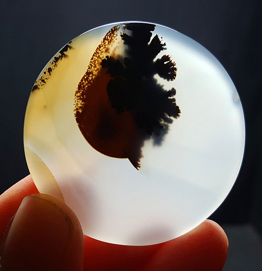 AAA Natural Aquatic Plant Agate Banded Crystal Polished - Etsy