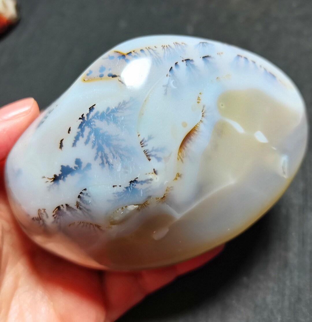 AAA Natural Aquatic Plant Agate Banded Crystal Polished Pendant Palm ...