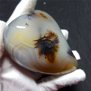 AAA Natural Aquatic Plant Agate Banded Crystal Polished Pendant Palm ...