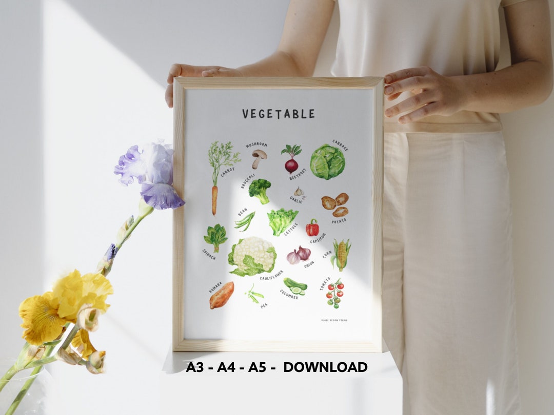 Vegetable Educational Poster Print, Montessori Waldorf Learning ...