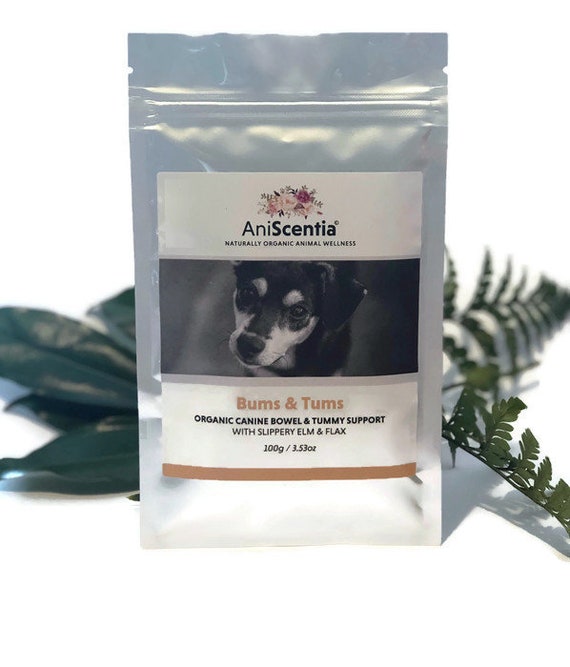 Can I Put Tums In Dog Food