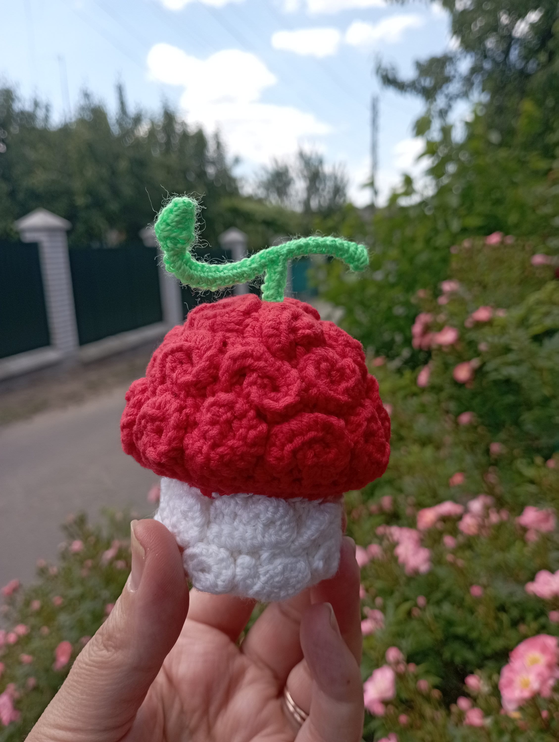 Hito Hito No Mi Pirate Treasures Ace Devil Fruit One Piece - Etsy