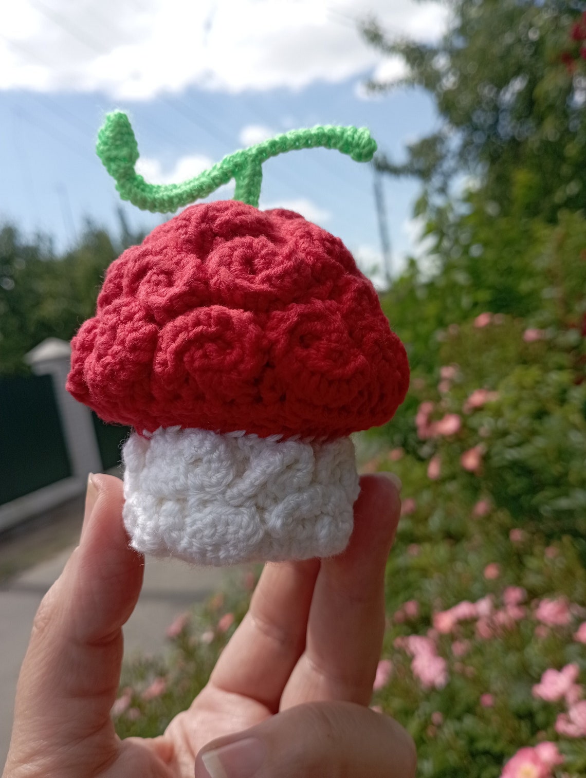 Hito Hito No Mi Pirate Treasures Ace Devil Fruit One Piece - Etsy