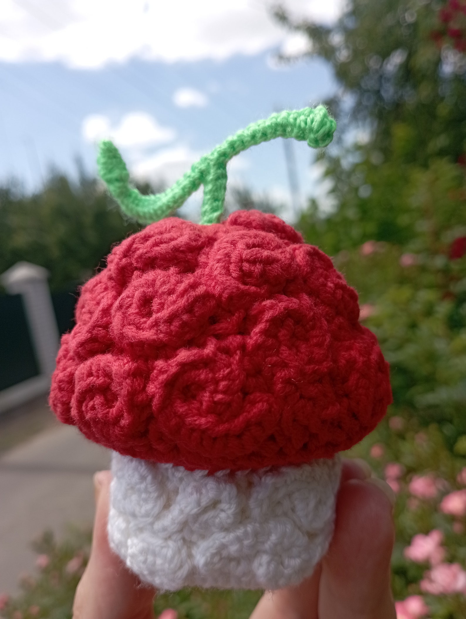 Hito Hito No Mi Pirate Treasures Ace Devil Fruit One Piece - Etsy