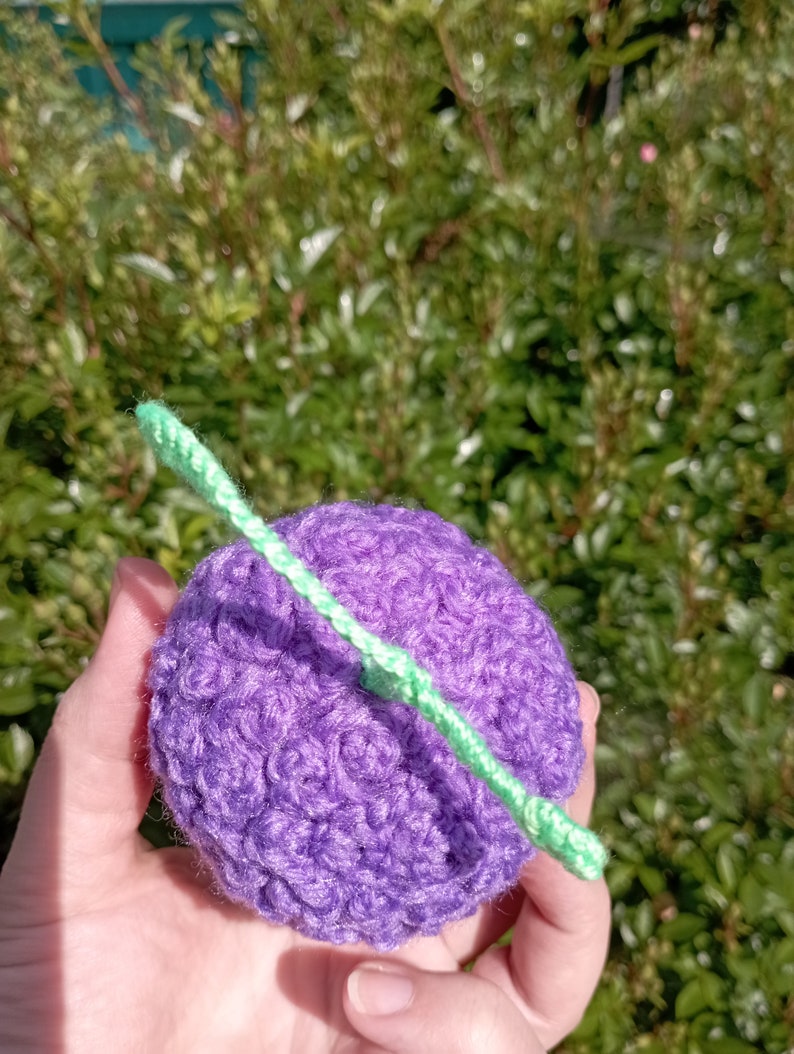 Gomu Gomu No Mi Purple Devil Fruit Luffy Devil Fruit - Etsy